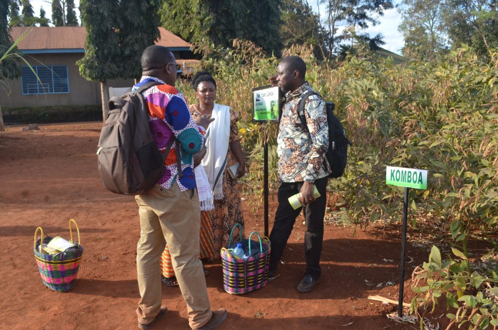 Nane nane day Celebration (Farmers day 8th August 2019 – Youth Peace Makers